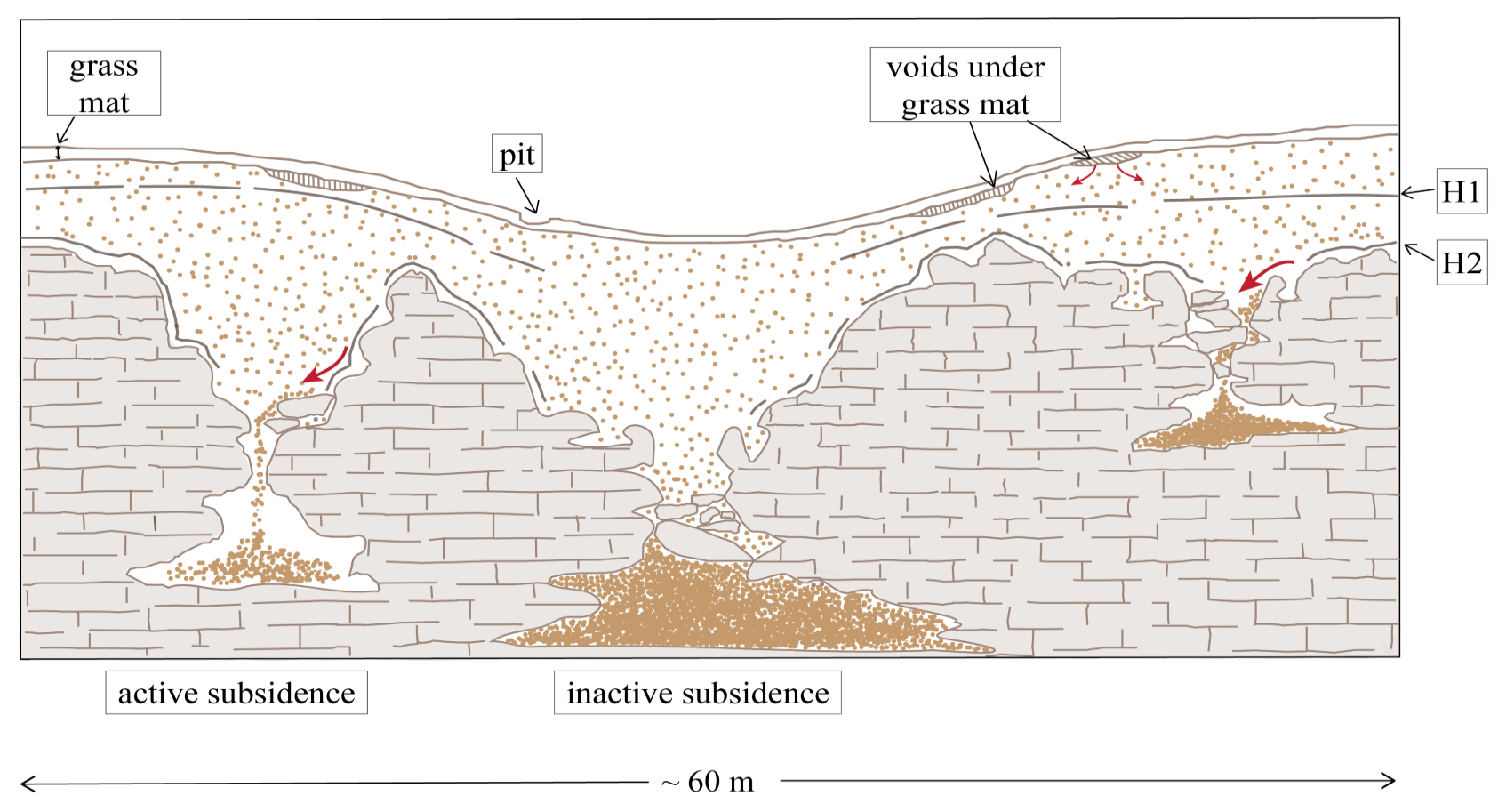 Tonian's Site
